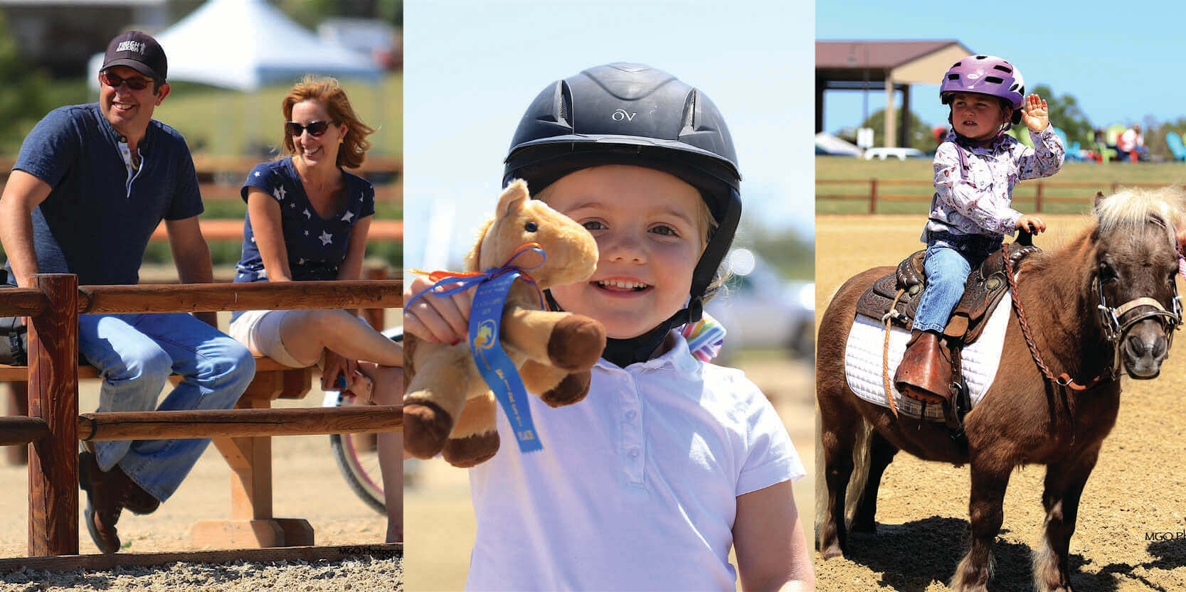 News - Paso Robles Horse Park